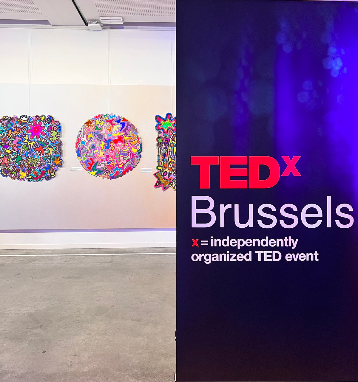 EUPHORIC RESET (TEDx) | ROXEHA